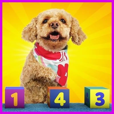 Download Learn Numbers with Lizzy the Dog - Vol 2 by Brain Candy TV
